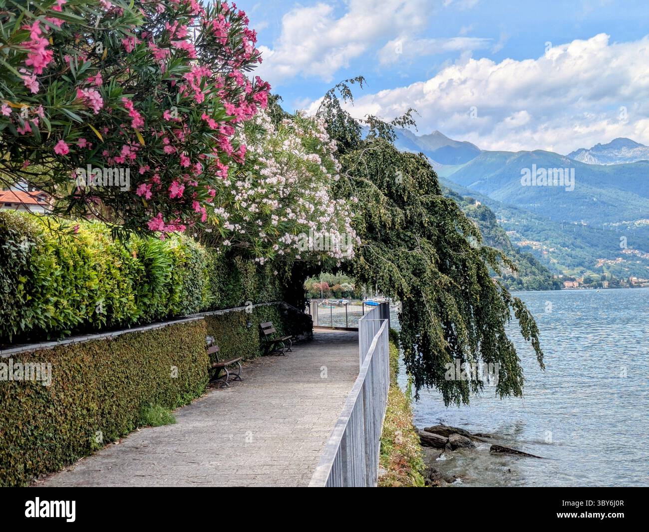 Beautiful pathway lake in hi-res stock photography and images - Alamy