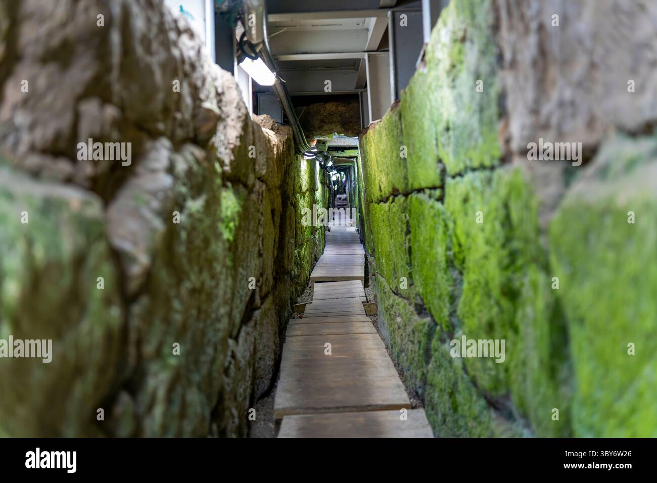 Ancient stone tunnel with moss-covered walls in Jerusalem, Israel ...