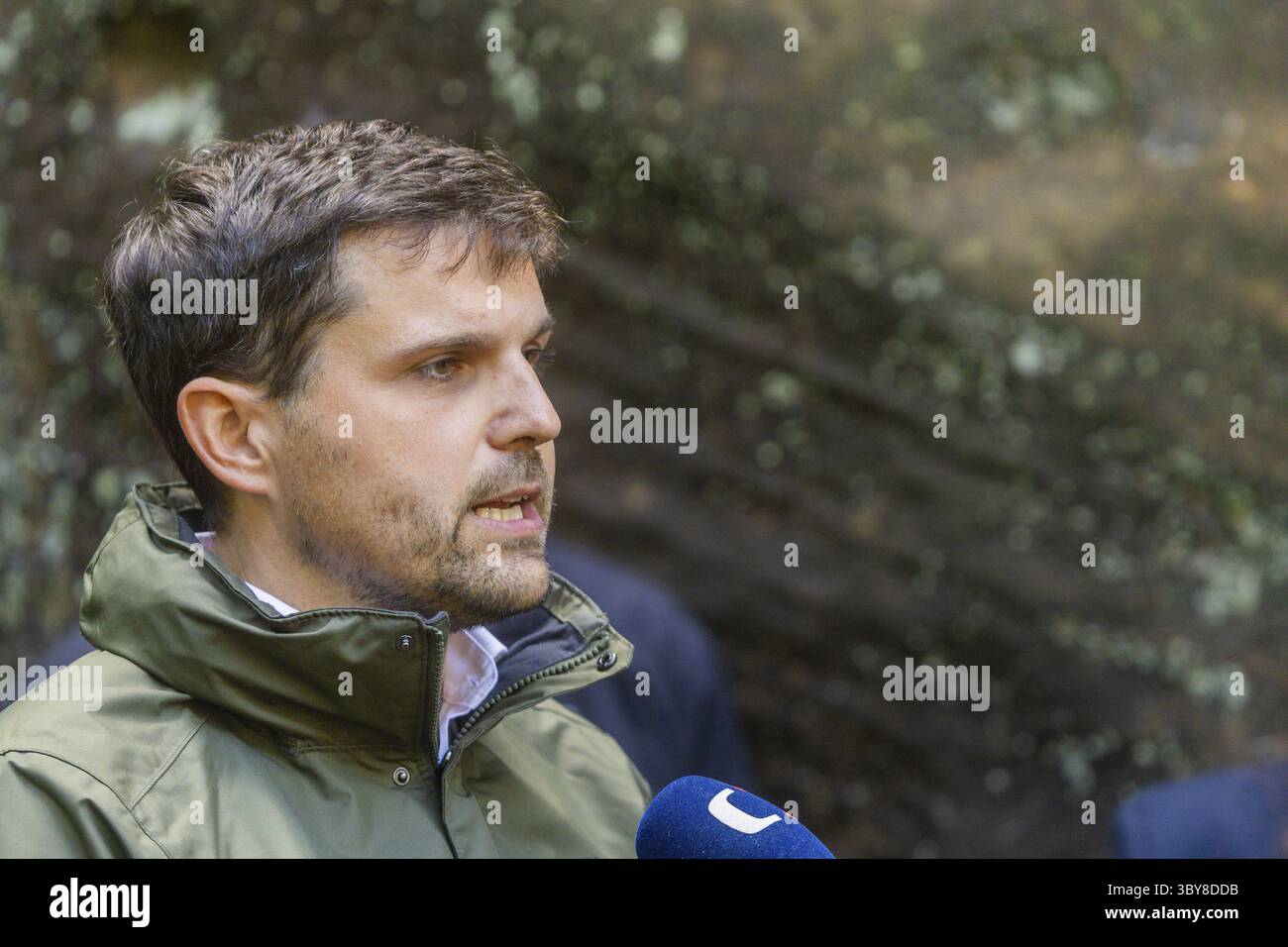 After the forest fires three years ago in Saxon-Bohemian Switzerland ...