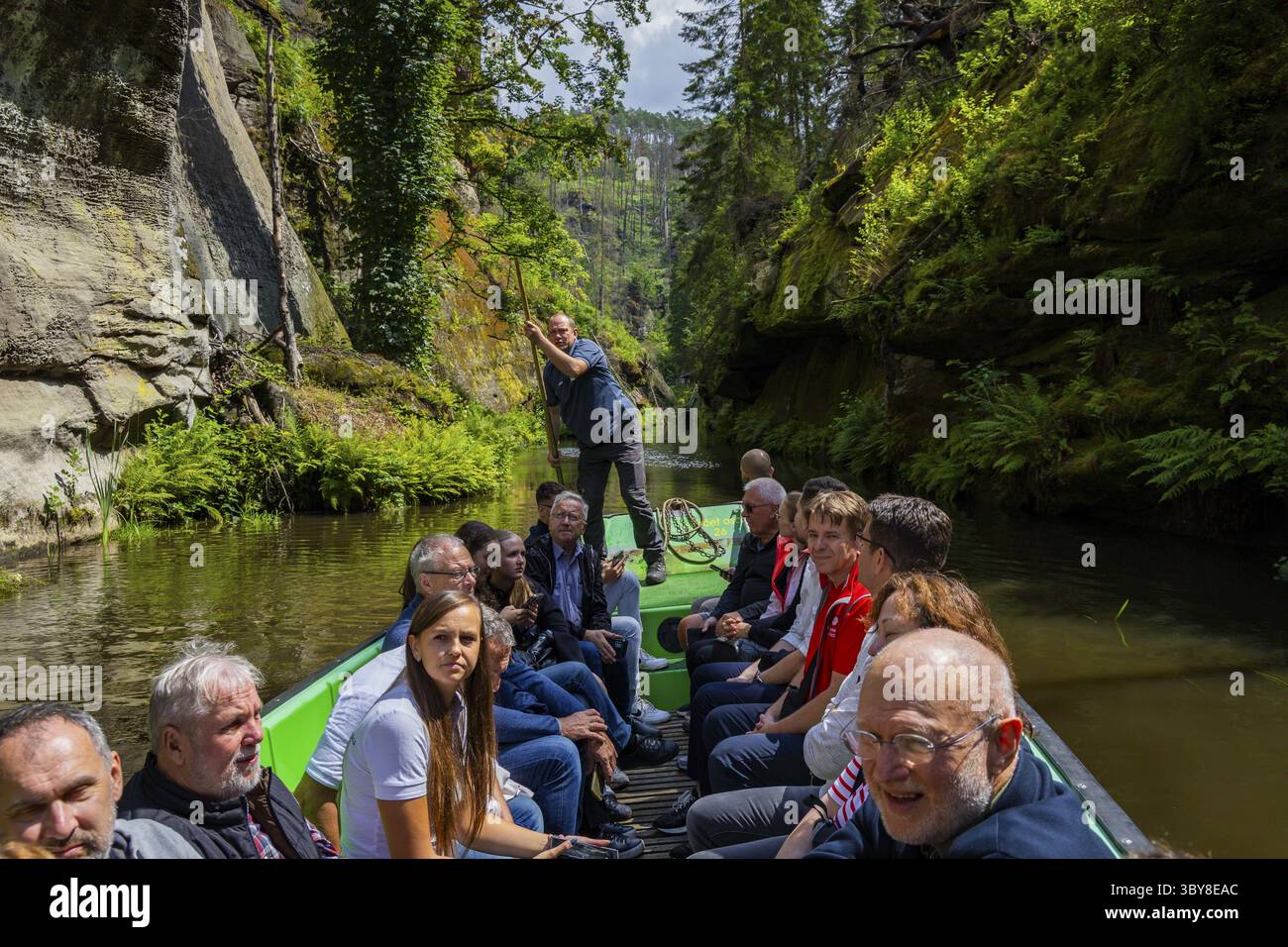After the forest fires three years ago in Saxon-Bohemian Switzerland ...