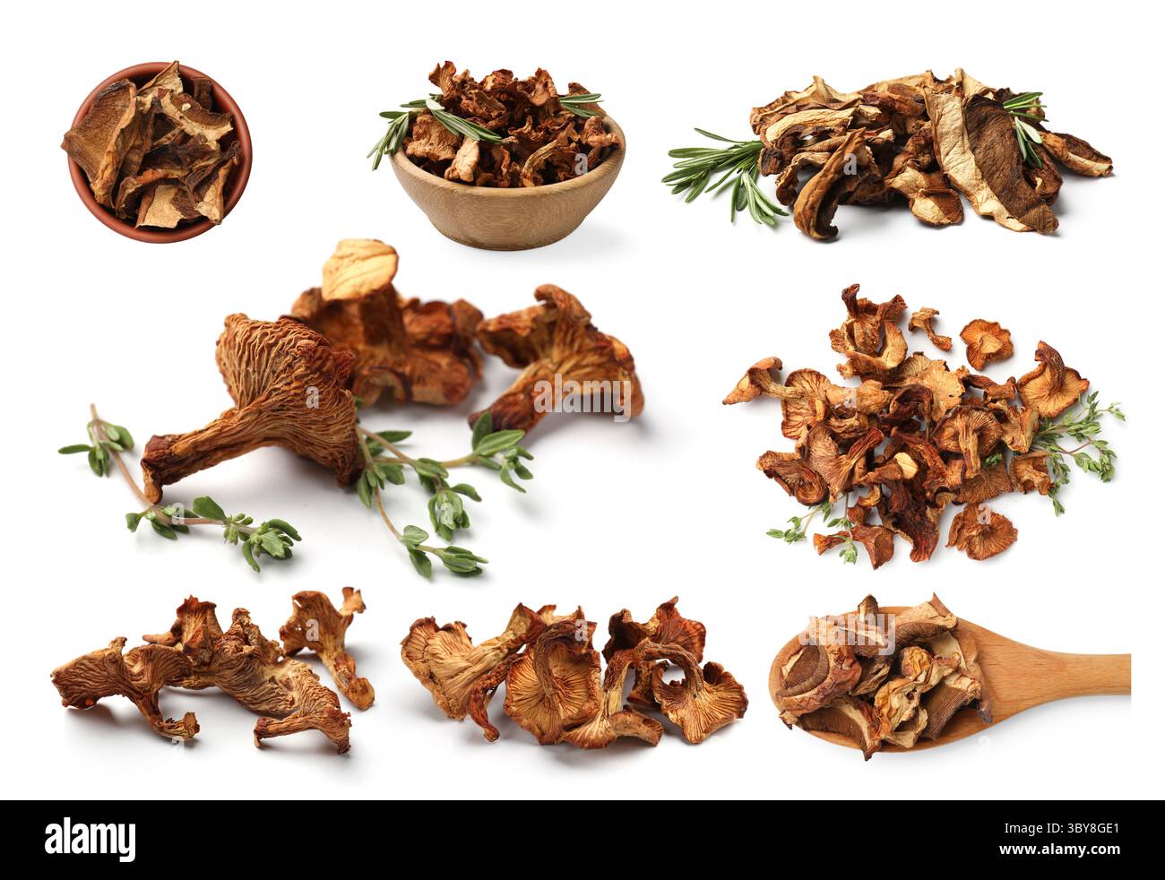 Set white mushrooms herbs Cut Out Stock Images & Pictures - Alamy