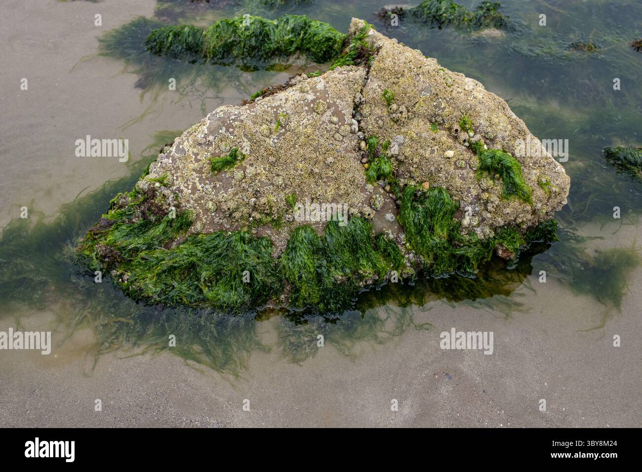 Rock Pools on the beach at Little Haven in Pembrokeshire West Wales UK ...