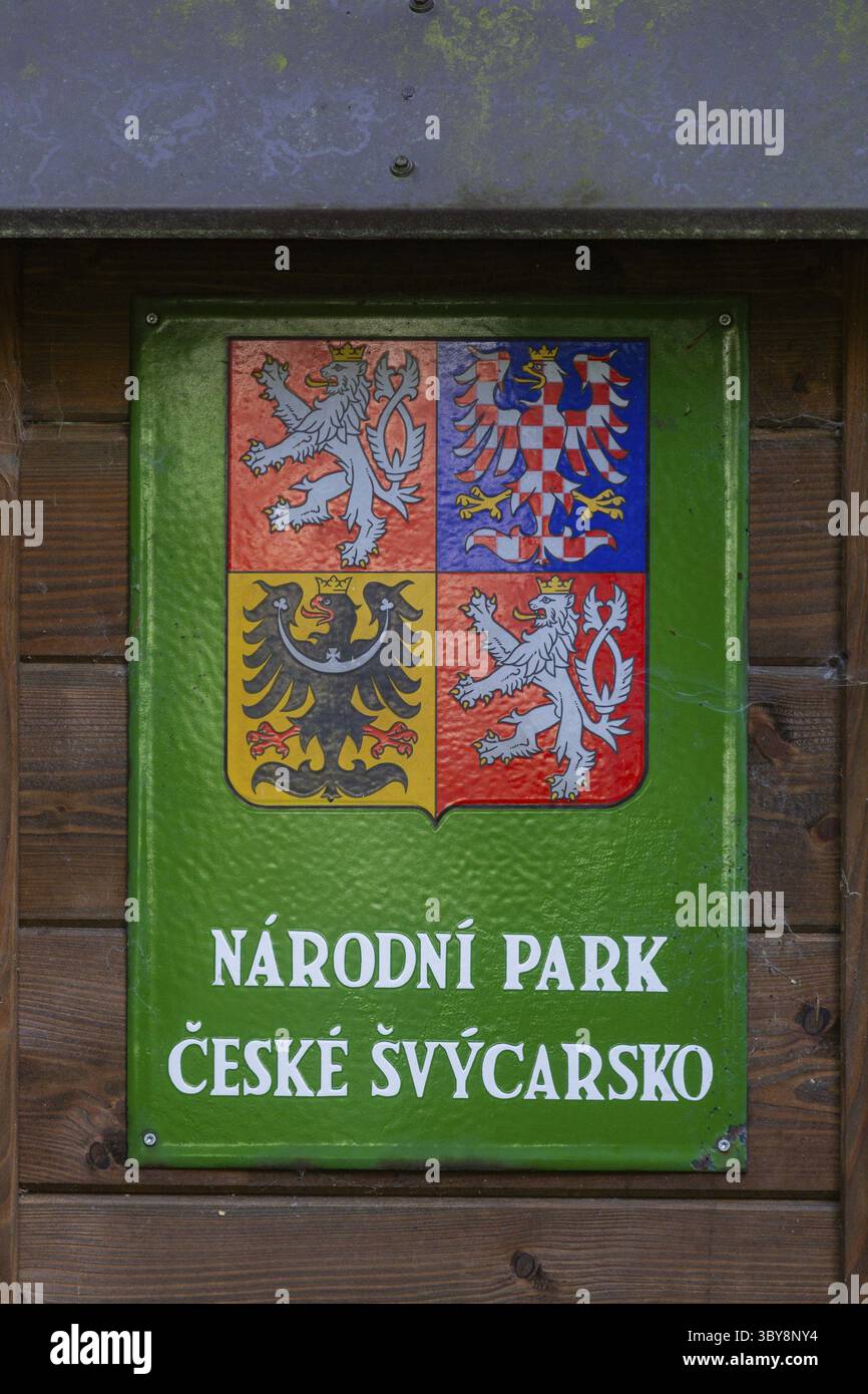 After the forest fires three years ago in Saxon-Bohemian Switzerland ...