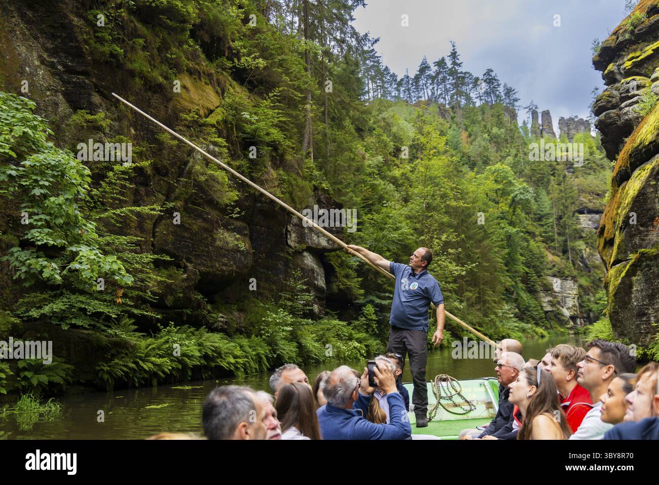 After the forest fires three years ago in Saxon-Bohemian Switzerland ...