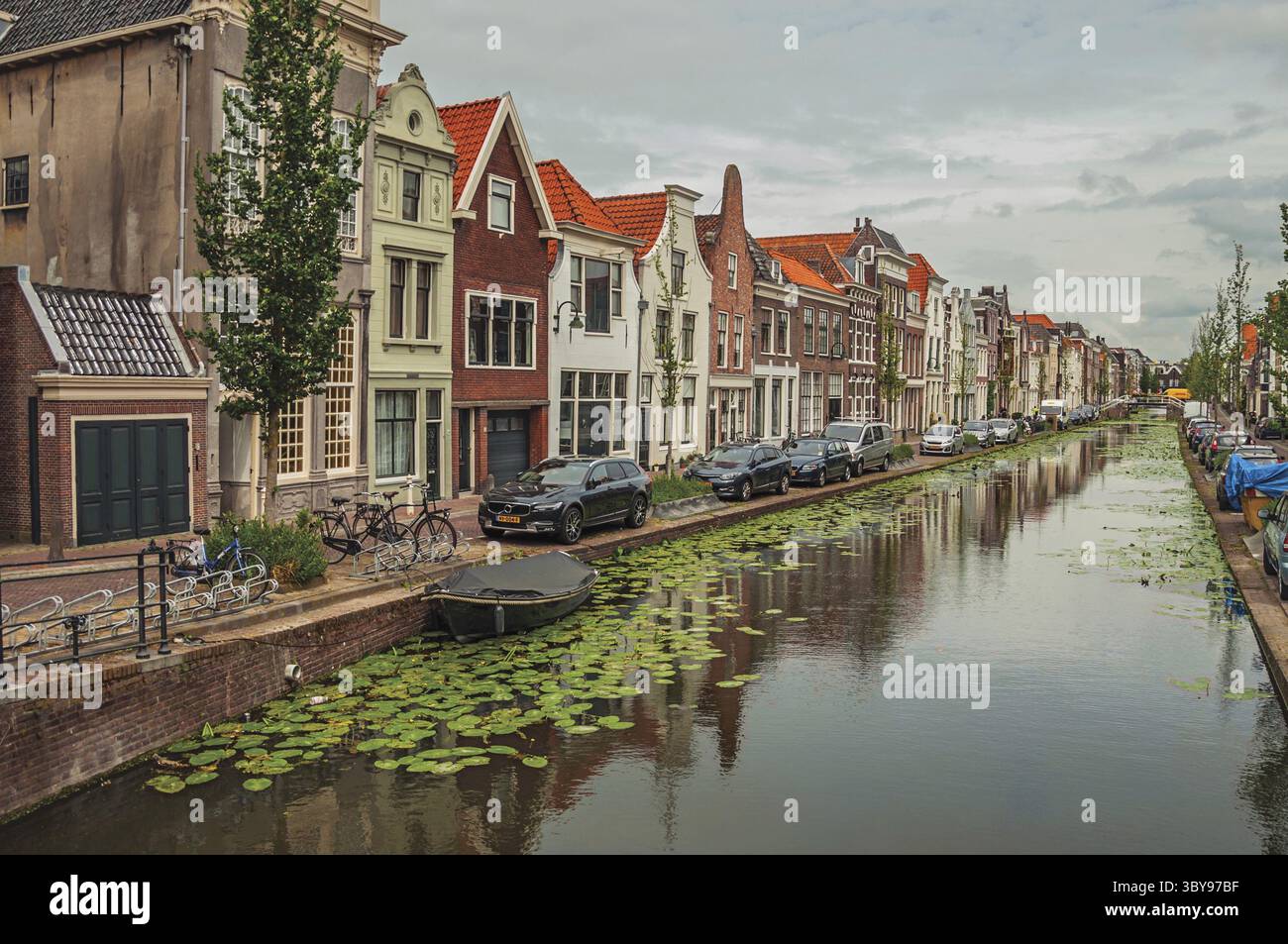 Tree-lined long canal with aquatic greenish plants, brick houses on its ...