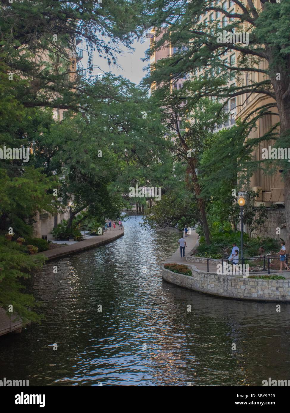 Peaceful view of the San Antonio Riverwalk, featuring lush greenery ...