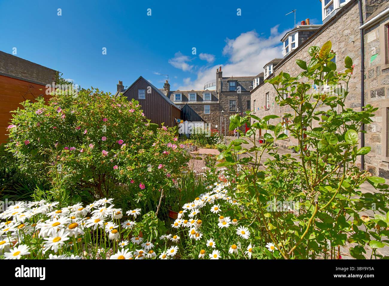 Aberdeen Harbour Footdee or Fittie the fishing village street with ...