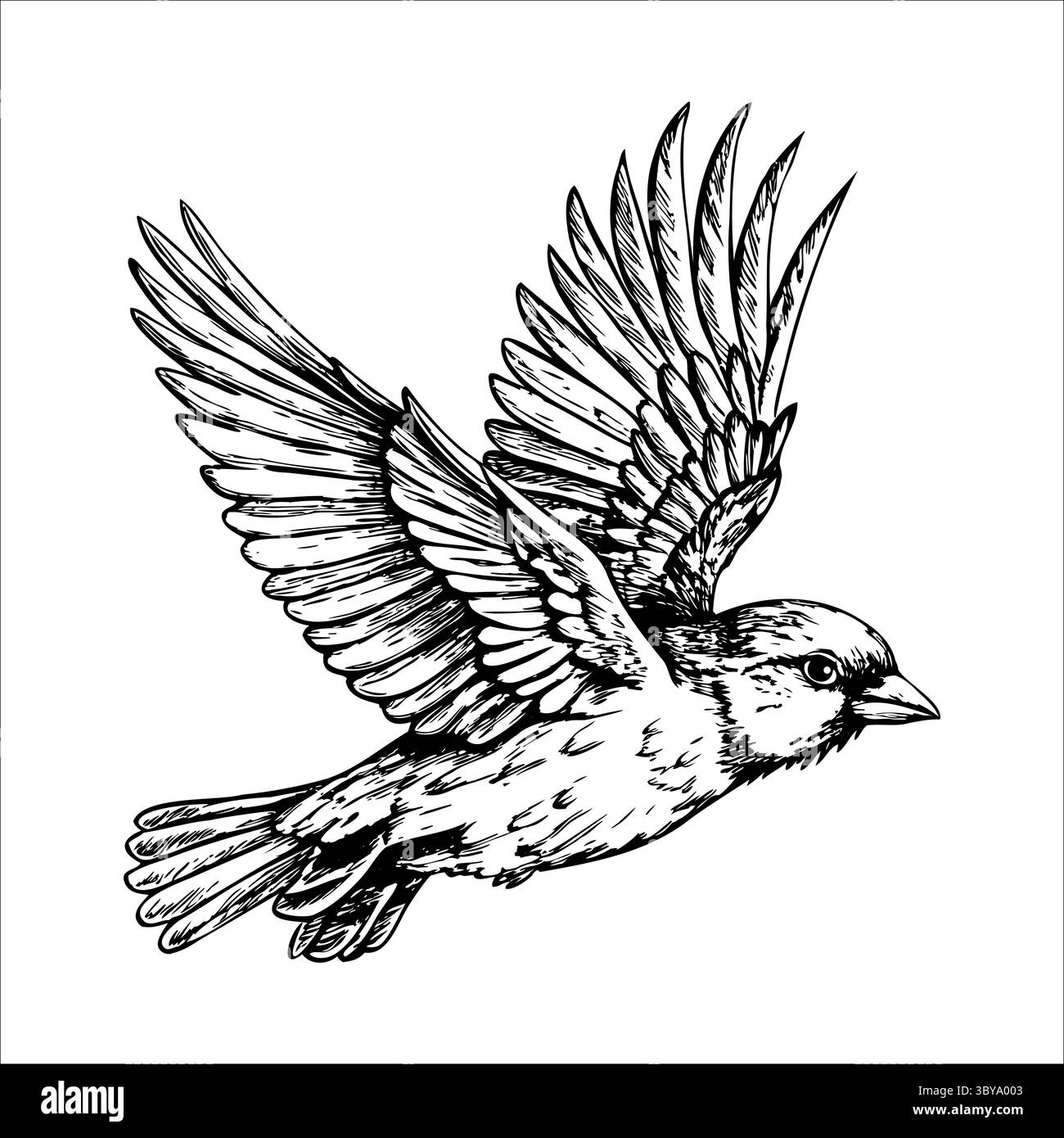 A detailed illustration of a flying bird with outstretched wings. The ...