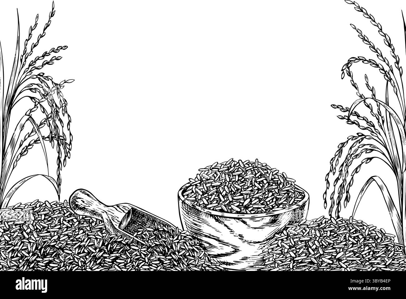 Rice banner Black and White Stock Photos & Images - Alamy