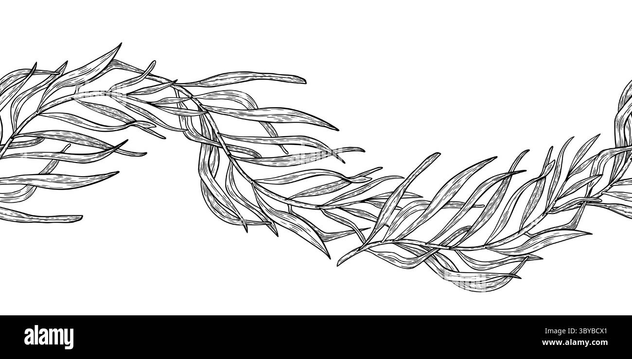 Delicate wave foliage outline on seamless border isolated. Palm leaves ...