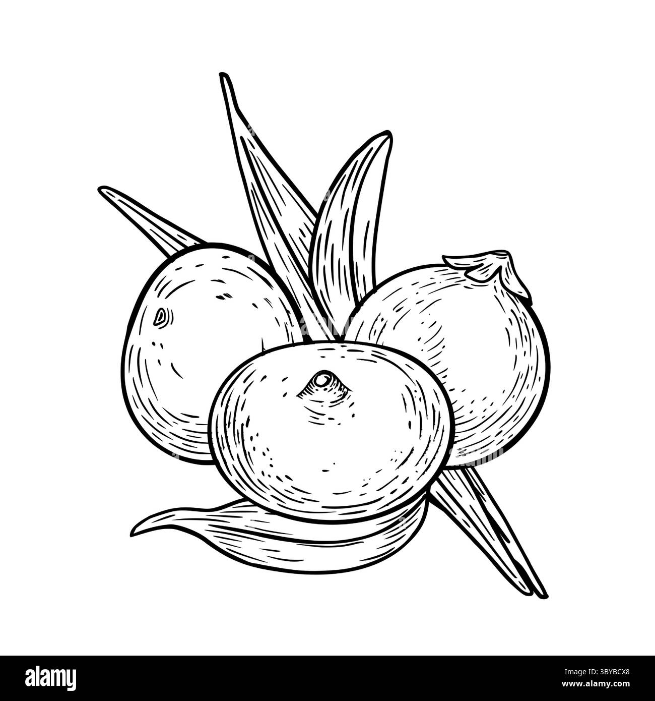 Painted purple Black and White Stock Photos & Images - Alamy