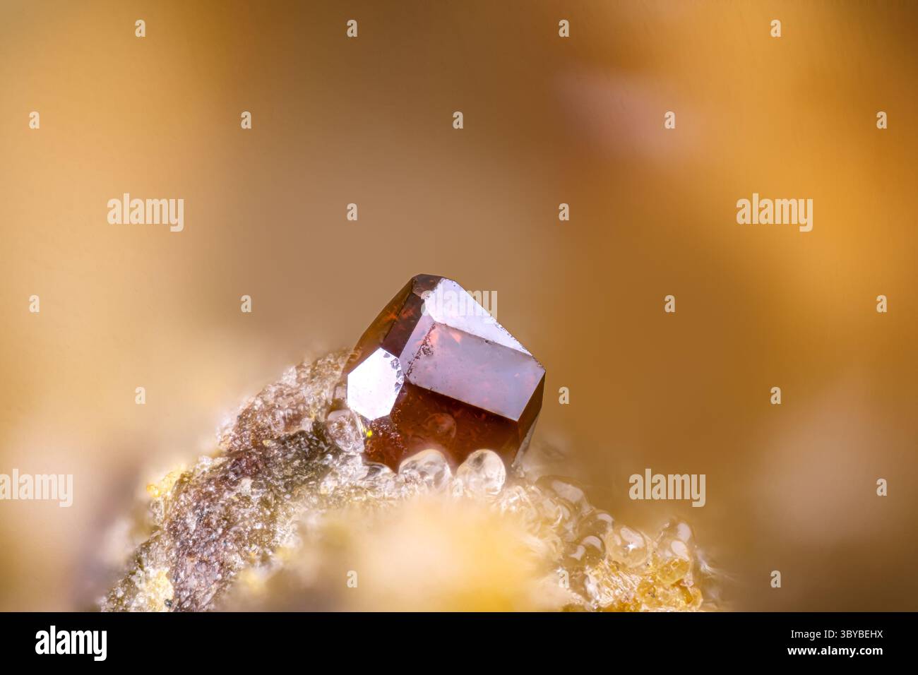 Emmelberg hi-res stock photography and images - Alamy