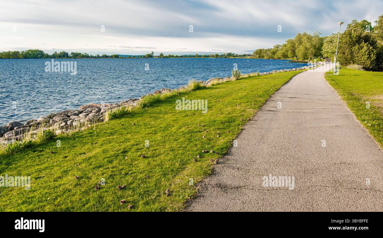 A scenic lakeside path with a smooth walkway bordered by lush green ...