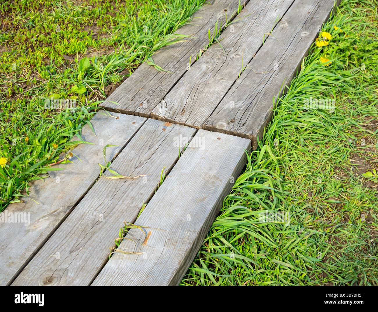 Wooden plank decking as a garden path Stock Photo - Alamy