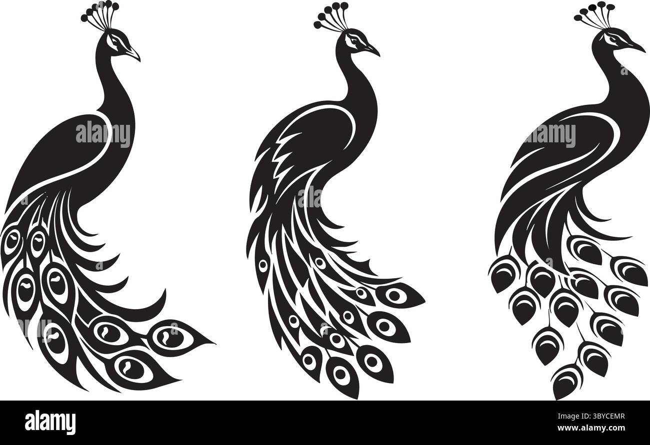 Black and White Tribal Peacock Design Elements Stock Vector Image & Art ...