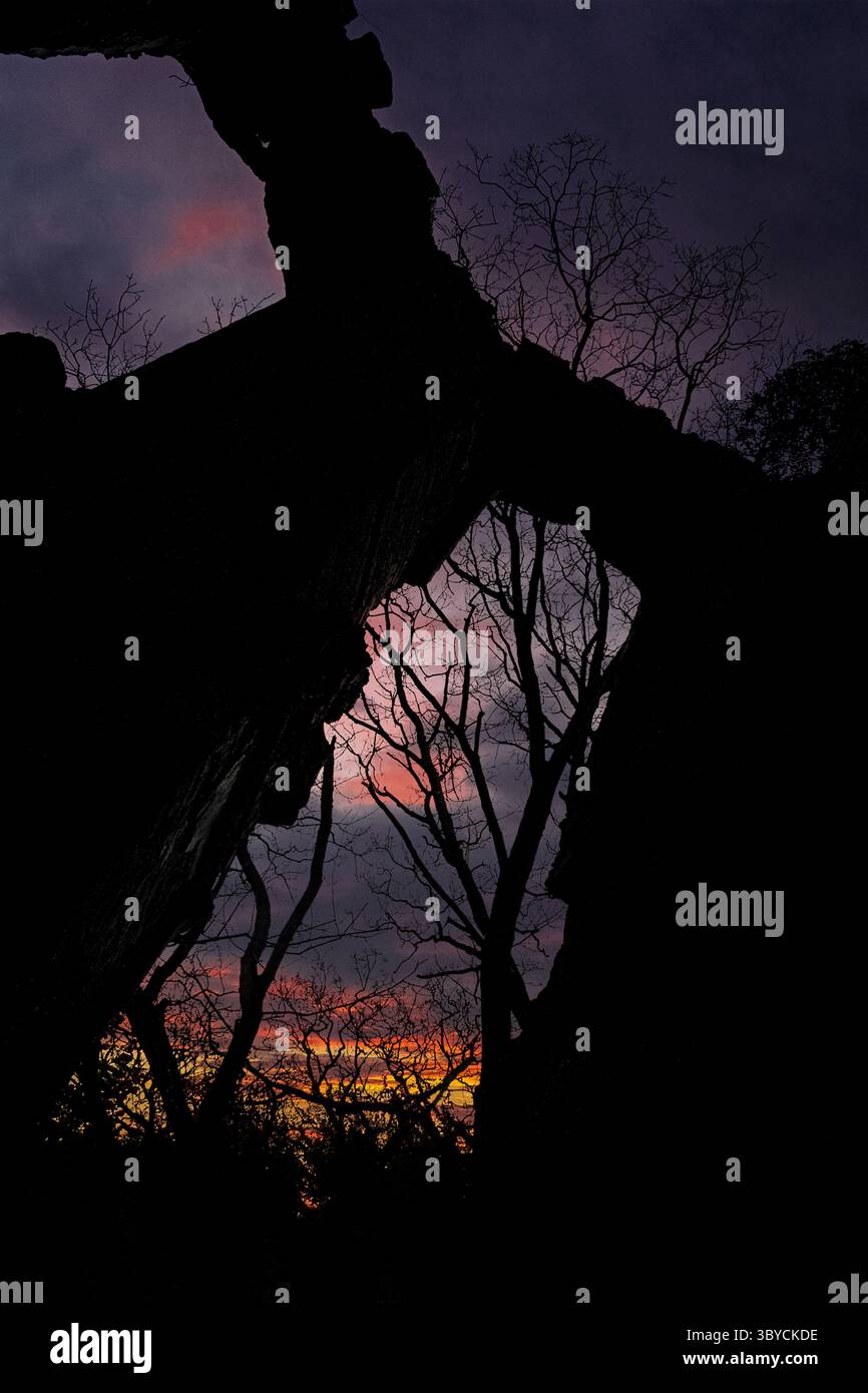 Silhouette castle ruins branches hi-res stock photography and images ...