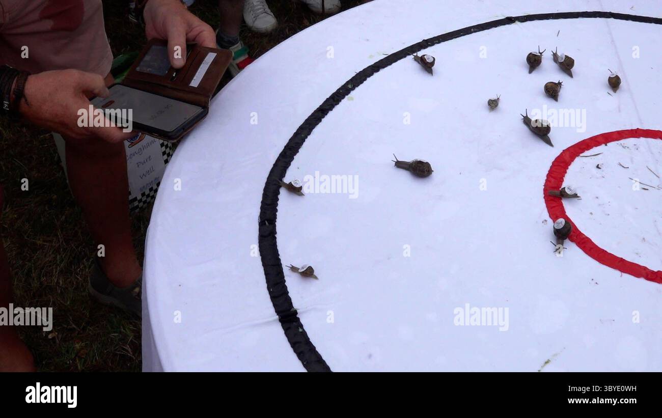 Grab from PA video of the World Snail Racing Championship 2025 at ...