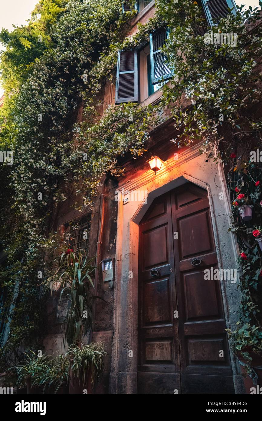 Wooden door to an old tenement house covered with jasmine in Rome old ...