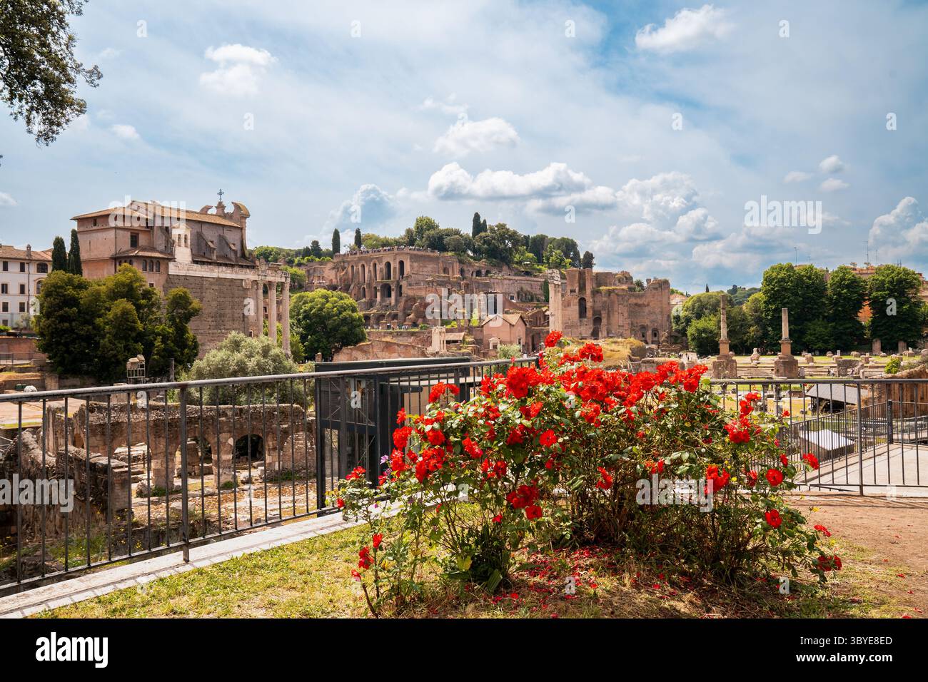 Ancient Forum Romanum. View from Palatine hill. Beautiful old ruins of ...