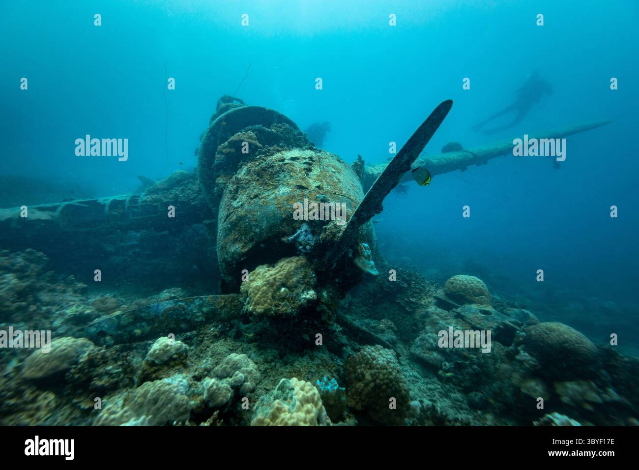 Sunken plane wreck encrusted with and sitting on a coral reef. The Jake ...