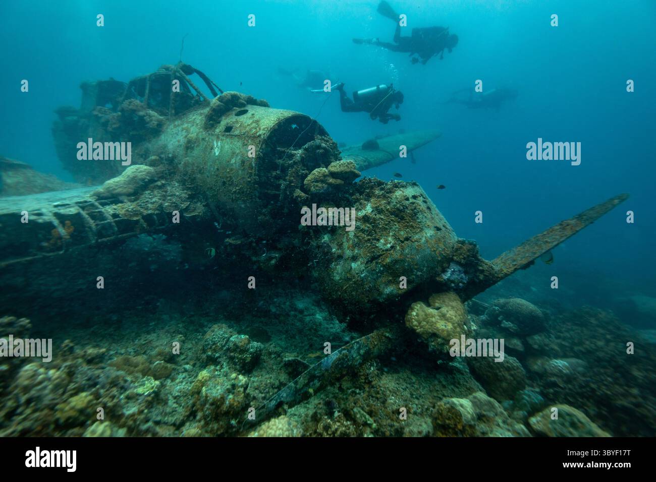 Sunken plane wreck encrusted with and sitting on a coral reef. The Jake ...
