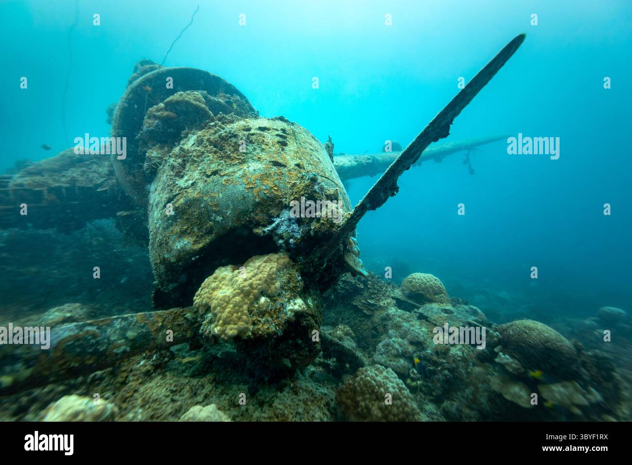 Sunken plane wreck encrusted with and sitting on a coral reef. The Jake ...