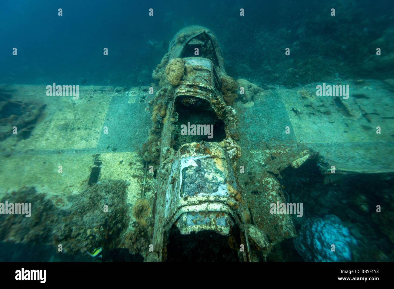 rear view of sunken plane wreck encrusted with and sitting on a coral ...