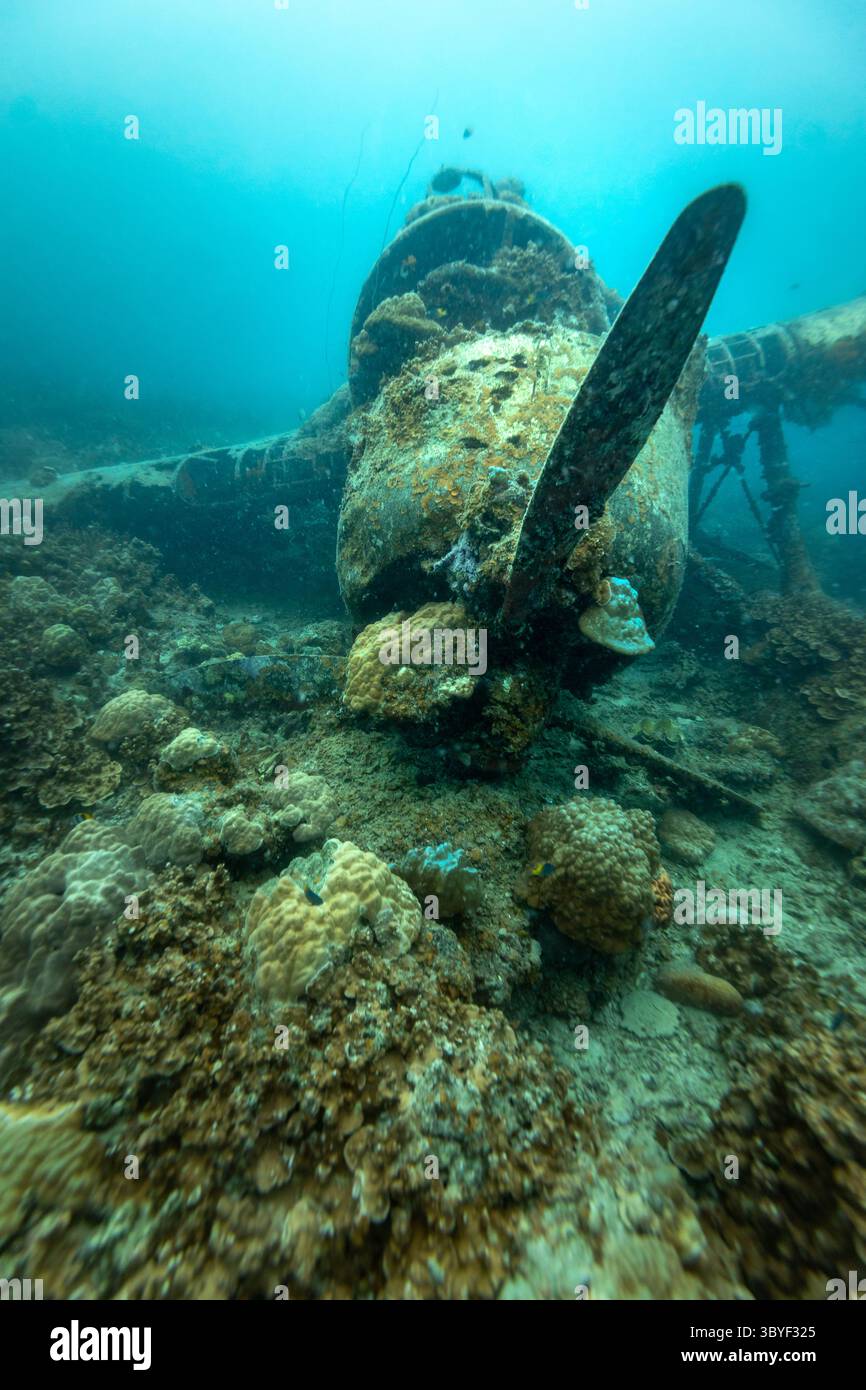 Front view of sunken plane wreck encrusted with and sitting on a coral ...