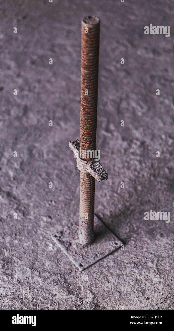 Foundation scaffolding structure used to support early-stage ...