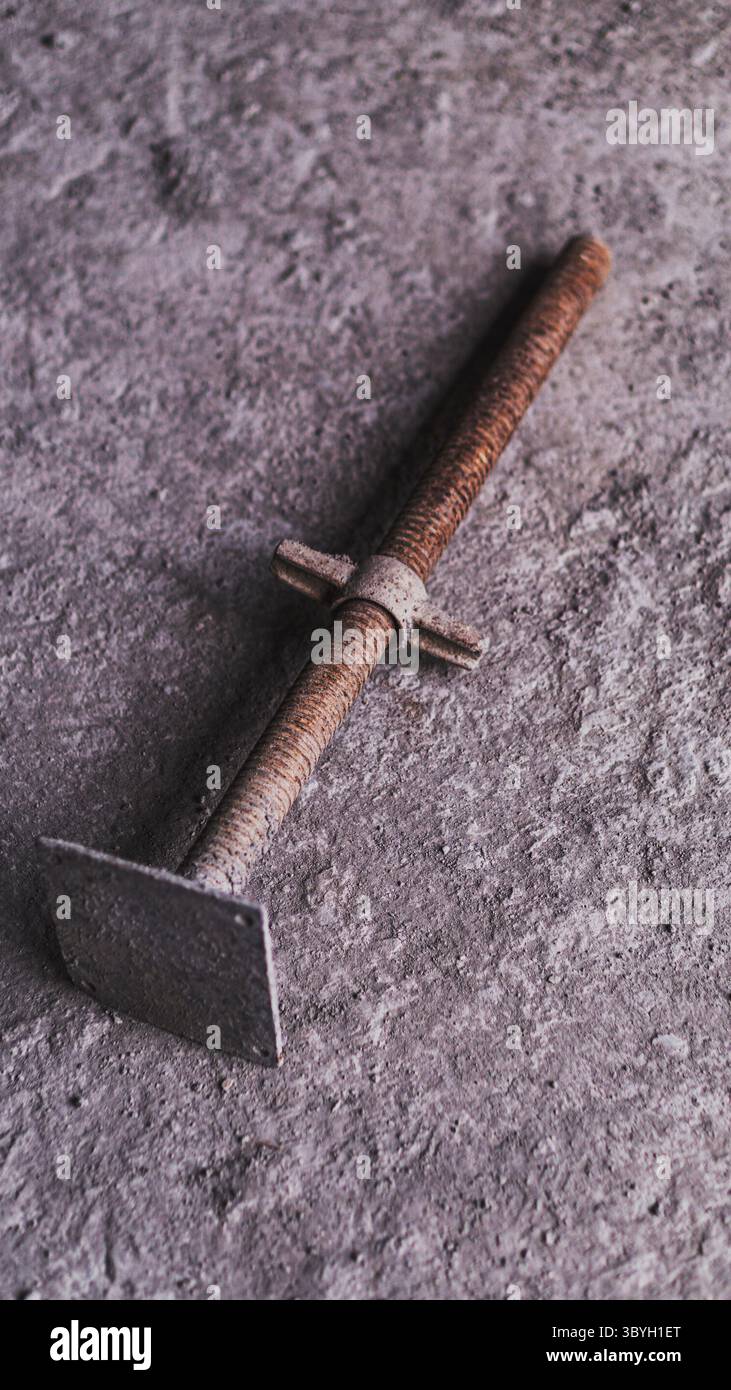 Foundation scaffolding structure used to support early-stage ...