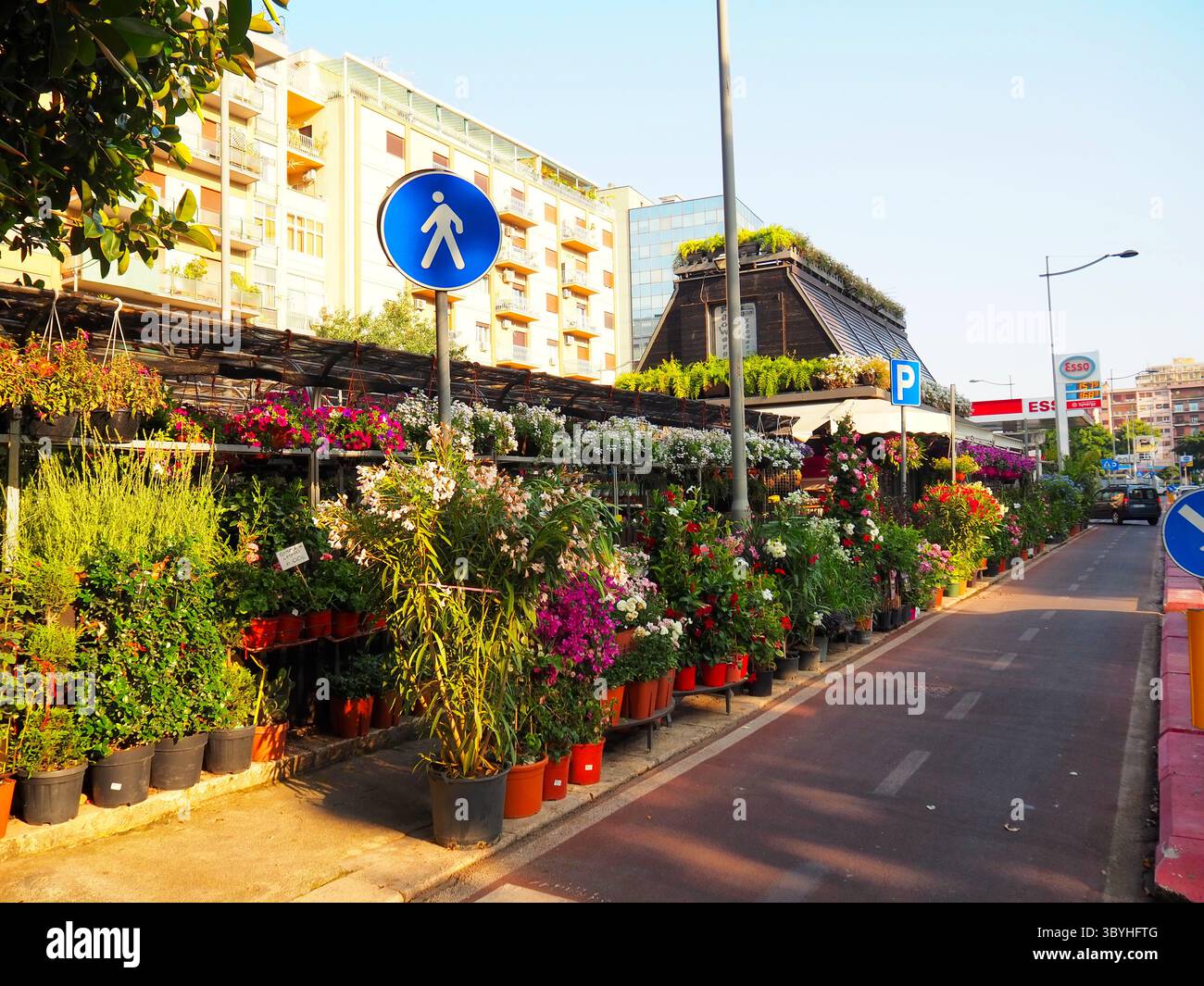 Colorful Flower Market in Palermo, Sicily at Sunrise – Urban Italian ...