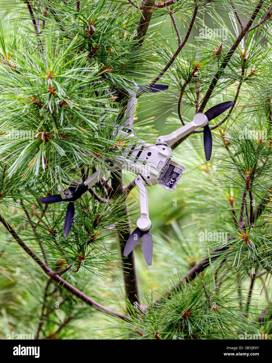 Multirotor stuck in tree hi-res stock photography and images - Alamy