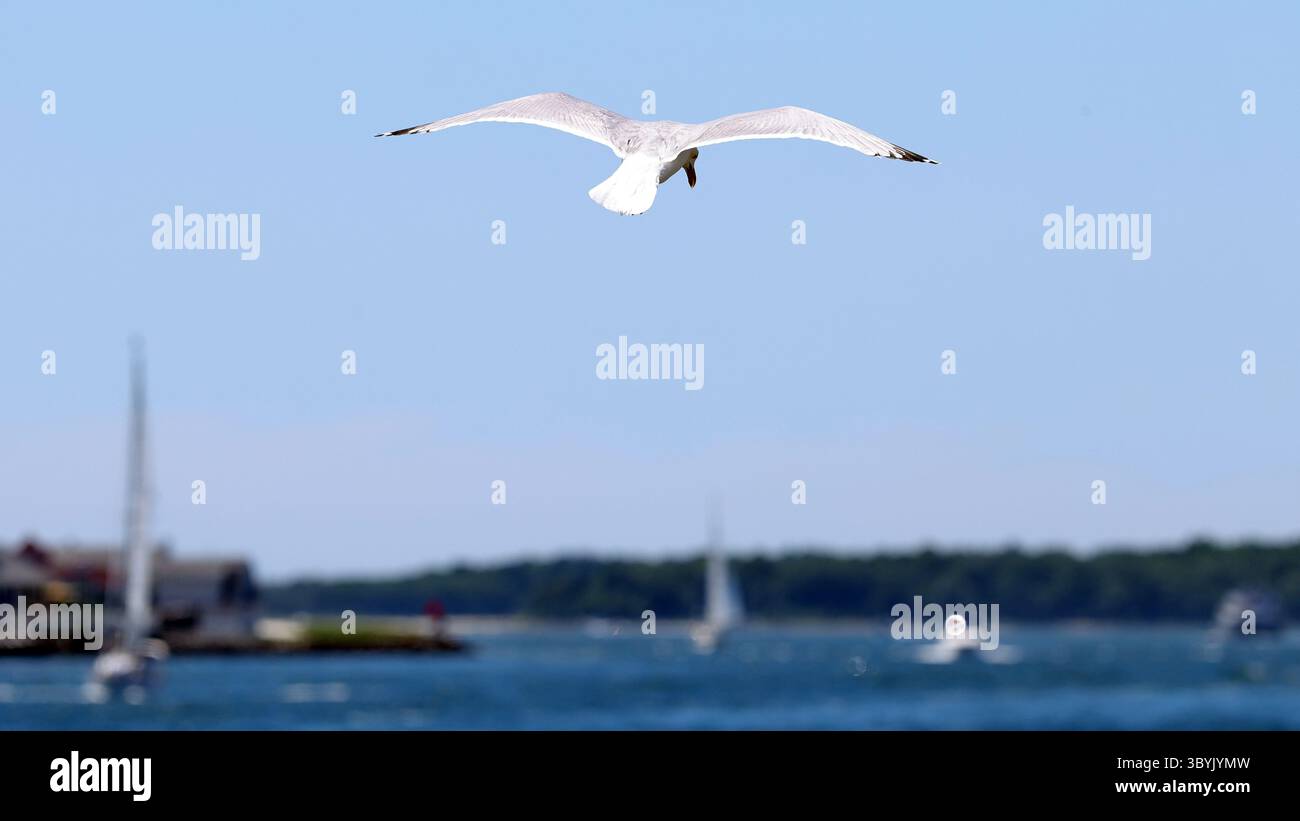 Pleasure craft navigating Cape Cod Canal Stock Photo - Alamy