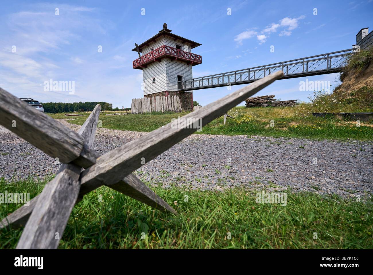 PRODUCTION - 19 July 2025, Rhineland-Palatinate, Pohl: Close-up of a ...