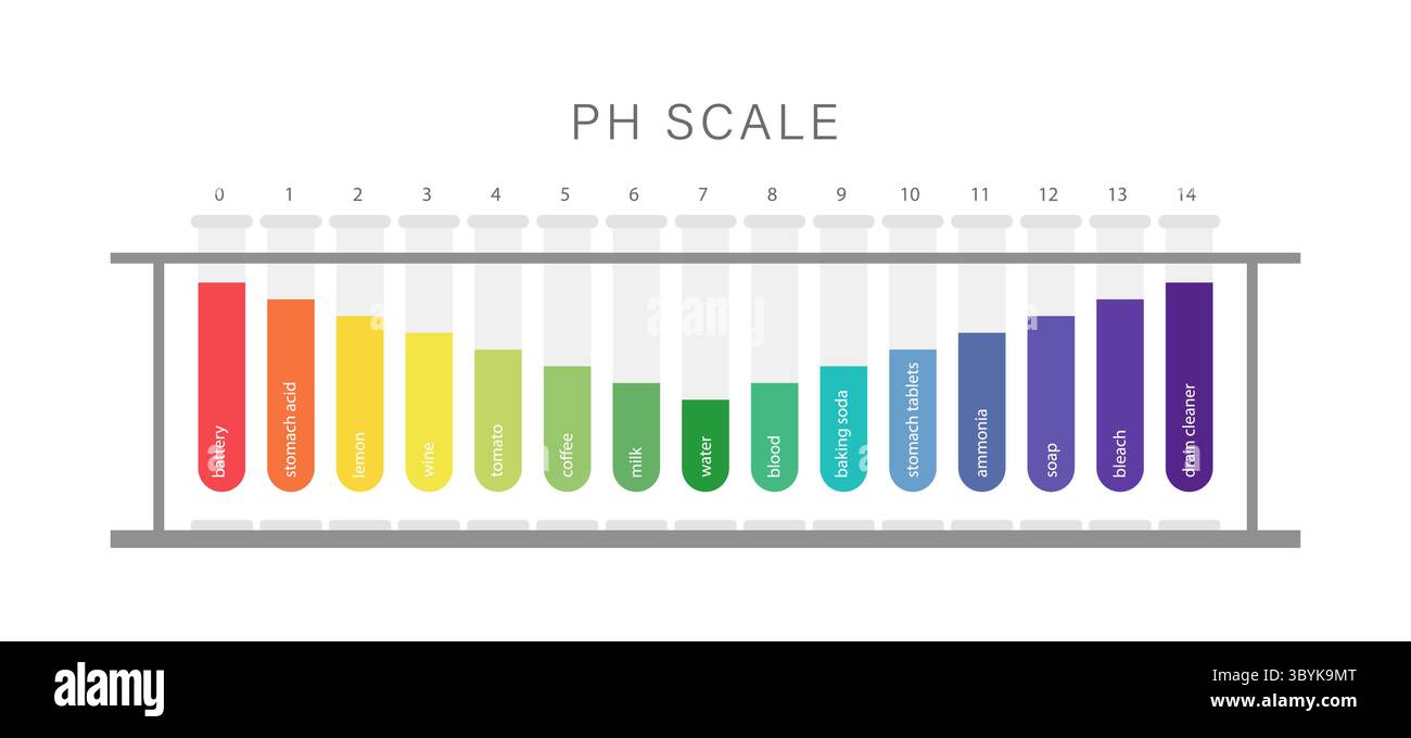 PH Scale. Level of acid and alkaline balance. Ph analysis or chemical ...