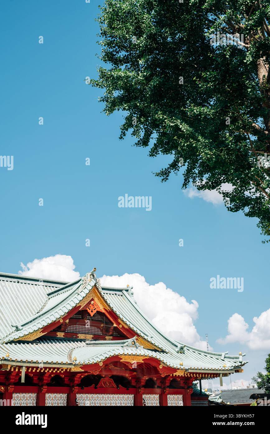 Tokyo japan july 2025 closeup hi-res stock photography and images - Alamy