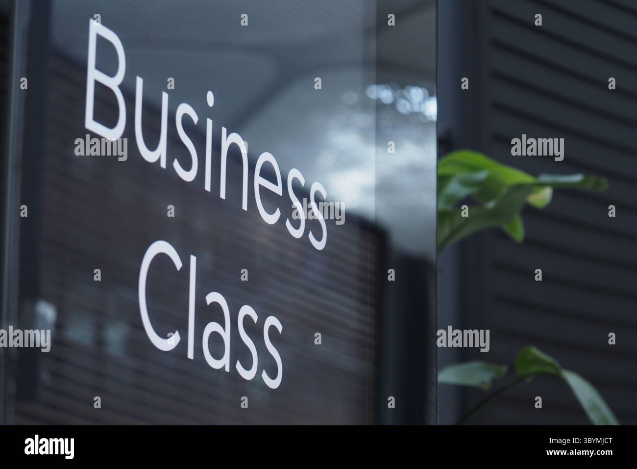Business class entrance at airport Stock Photo - Alamy