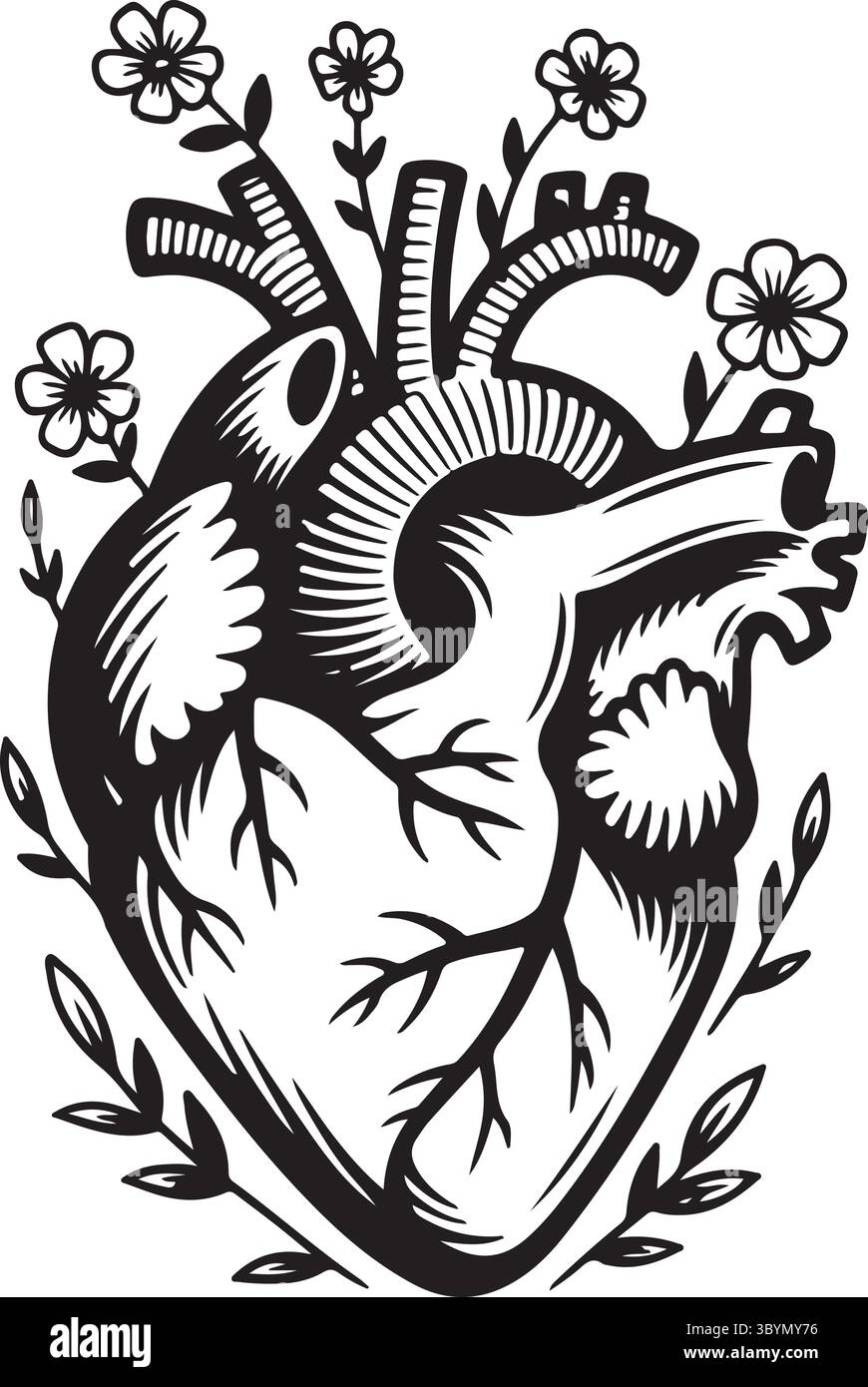 Balance exercise home Cut Out Stock Images & Pictures - Alamy