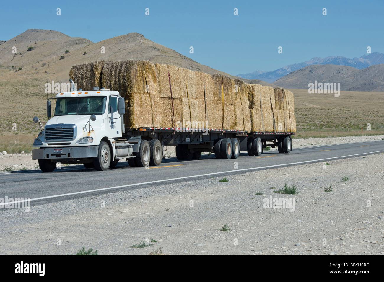 Semi-truck hauling hay from the Little Lost River Valley to dairy farms ...