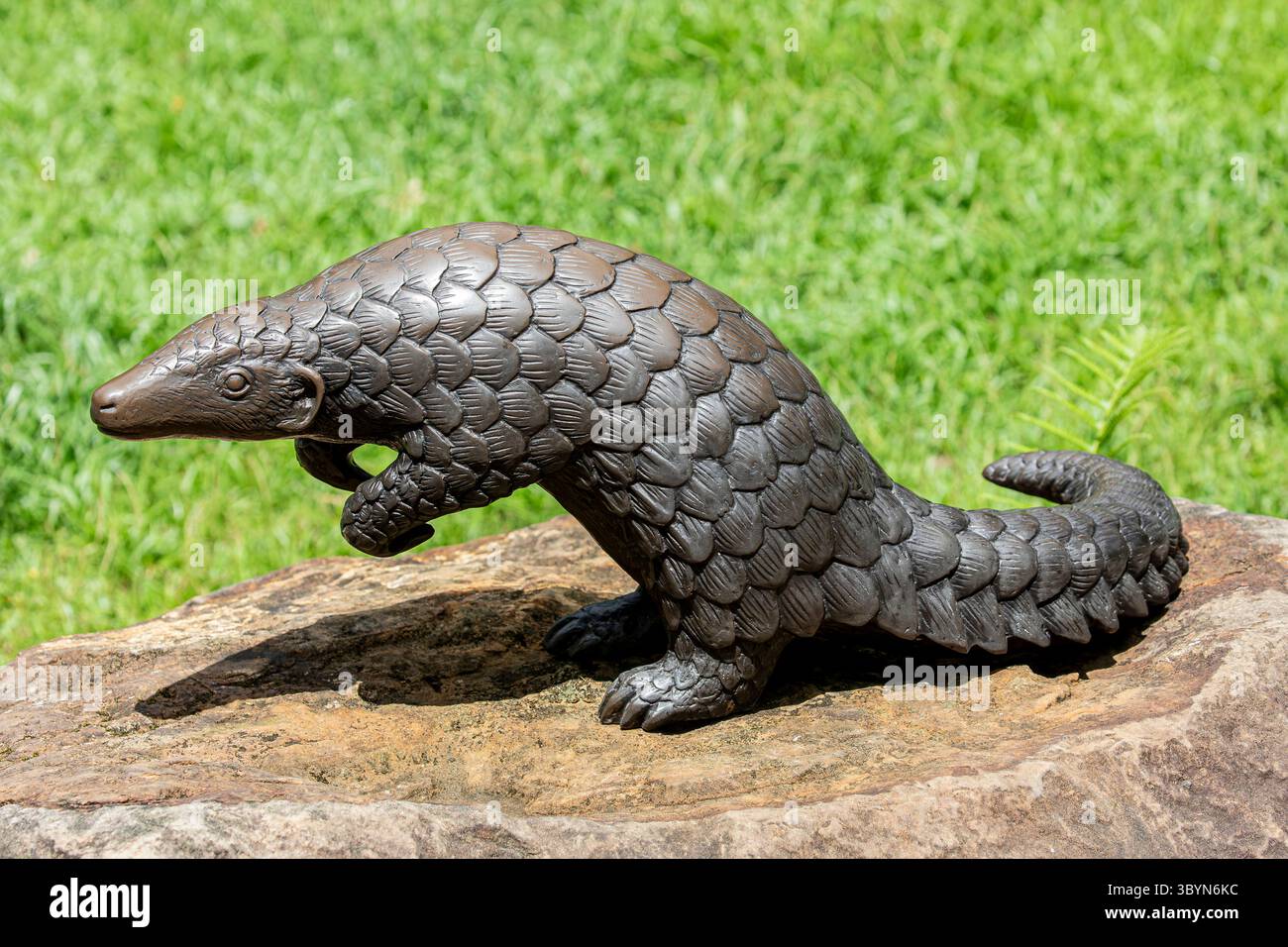 Taipei Taiwan 2nd Jun 2025: The Taiwanese pangolin (Manis pentadactyla ...
