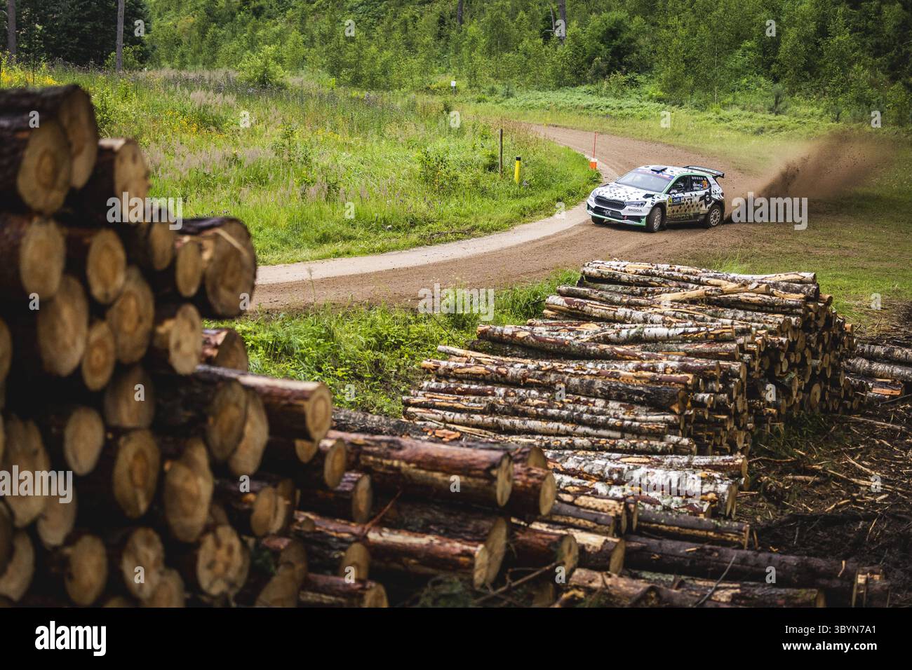 29 Robert VIRVES, Jakko VIILO, Skoda Fabia RS Rally2, action during the ...