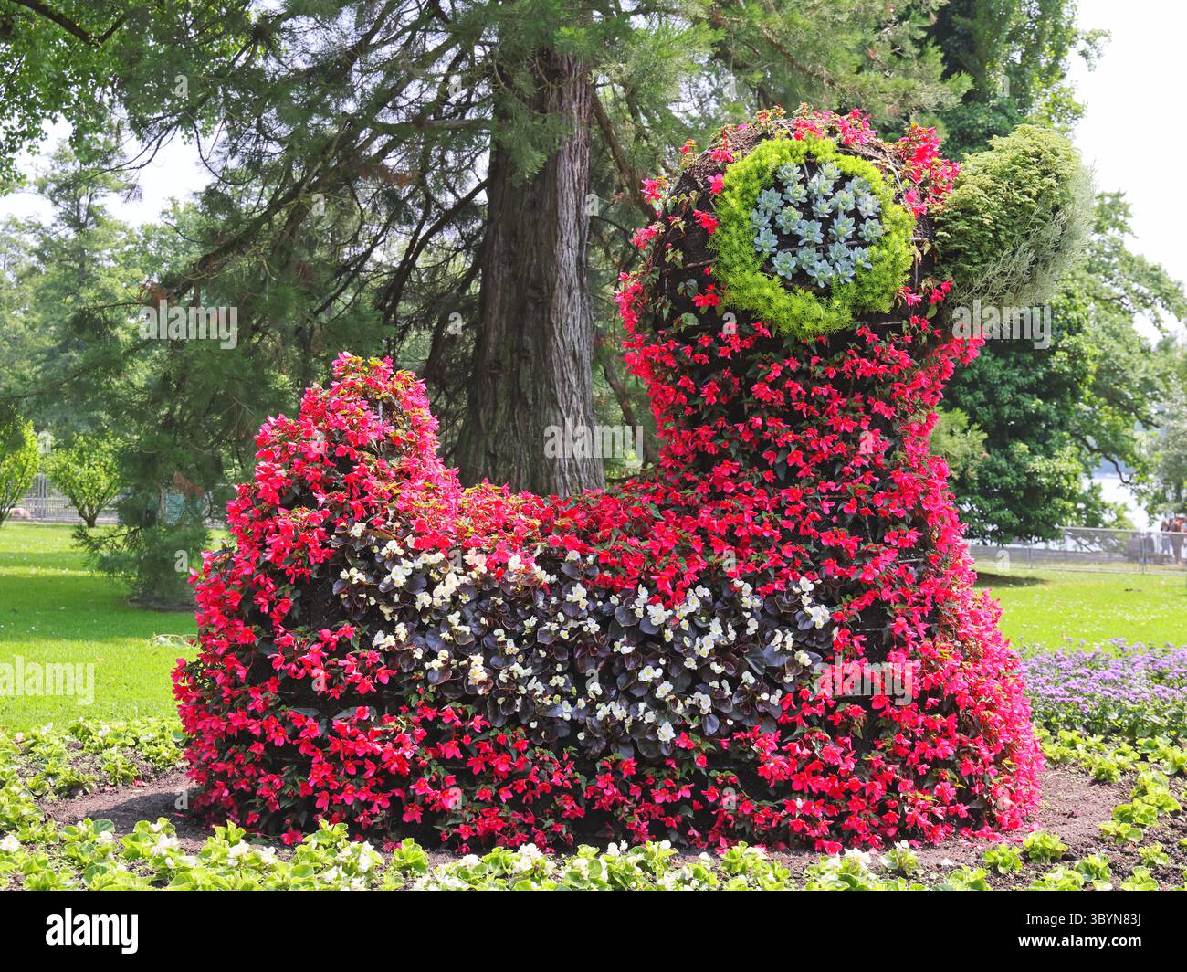 flower duck at Island Mainau Stock Photo - Alamy