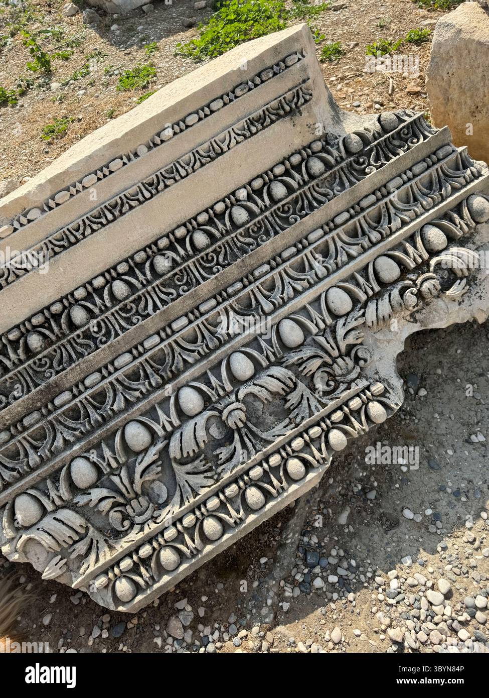 Detailed exploration archaeological history hi-res stock photography ...