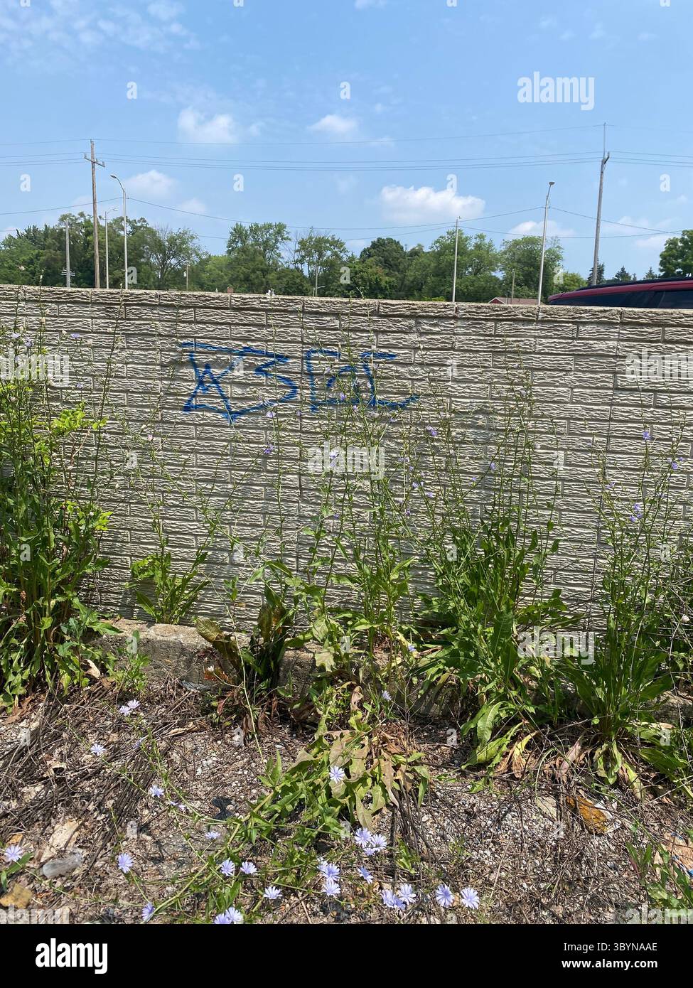 Crips gang graffiti and markings in Detroit, Michigan, USA (ScoreGang ...
