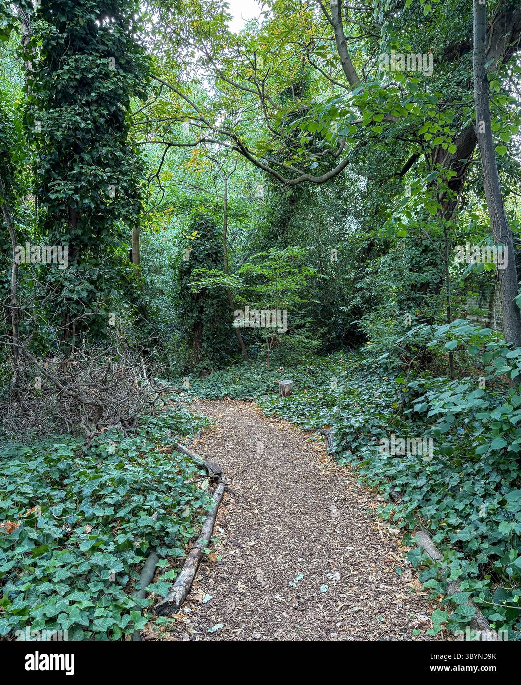 Finchley Way Open Space in suburban Finchley Central, on the area of ...