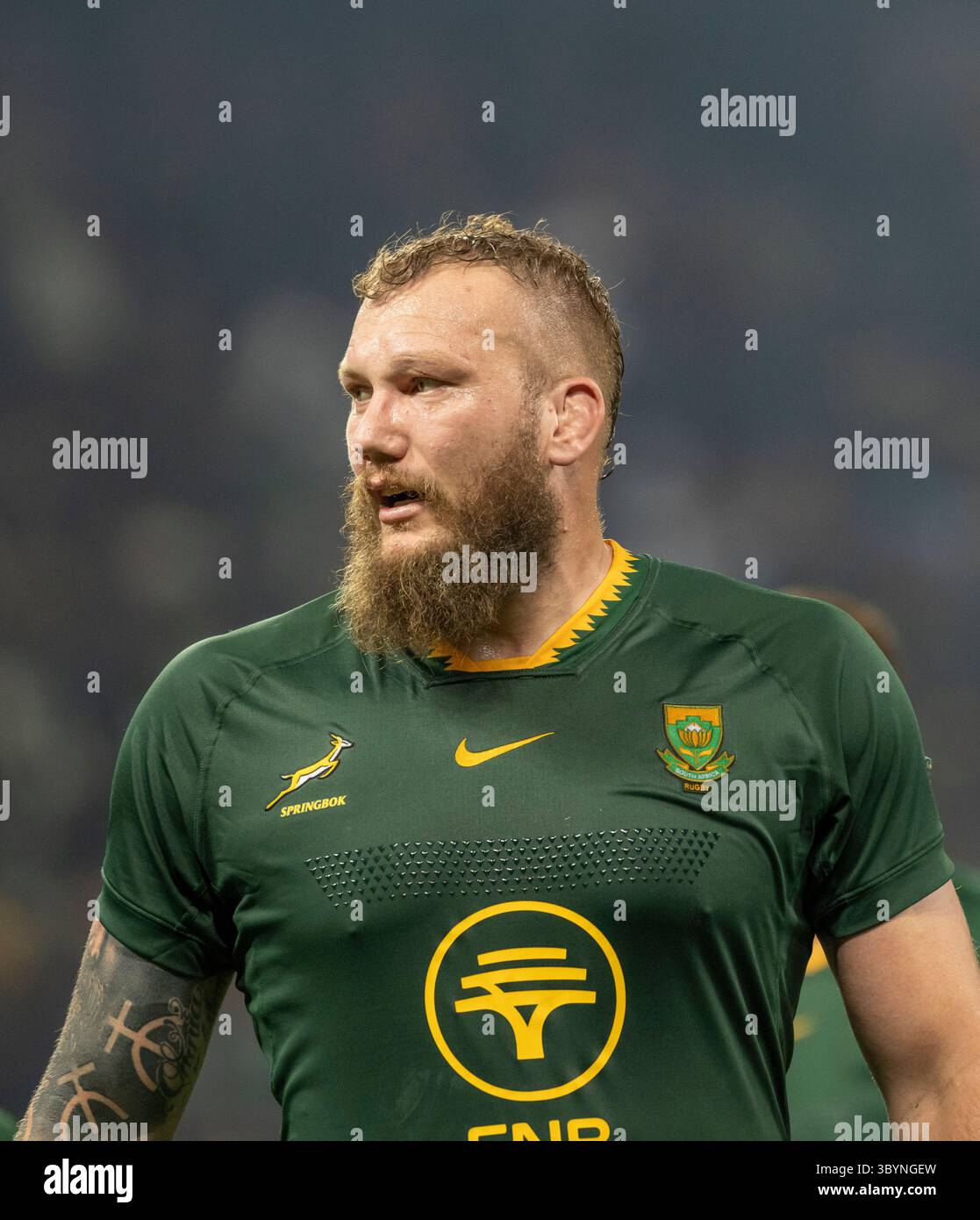 Portrait of Springbok lock and impact player RG Snyman known as "The ...