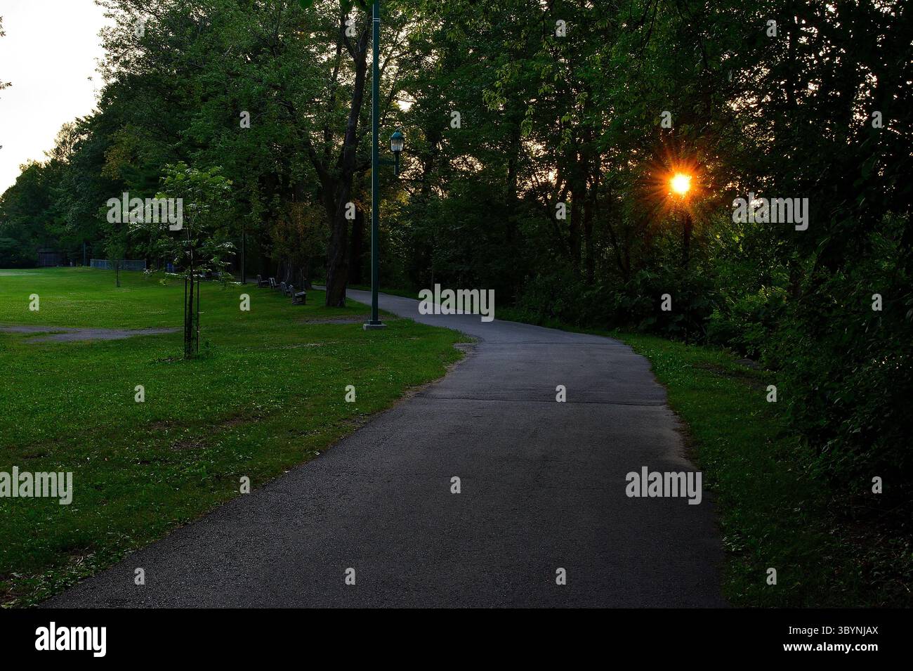 Asphalt path through park hi-res stock photography and images - Alamy
