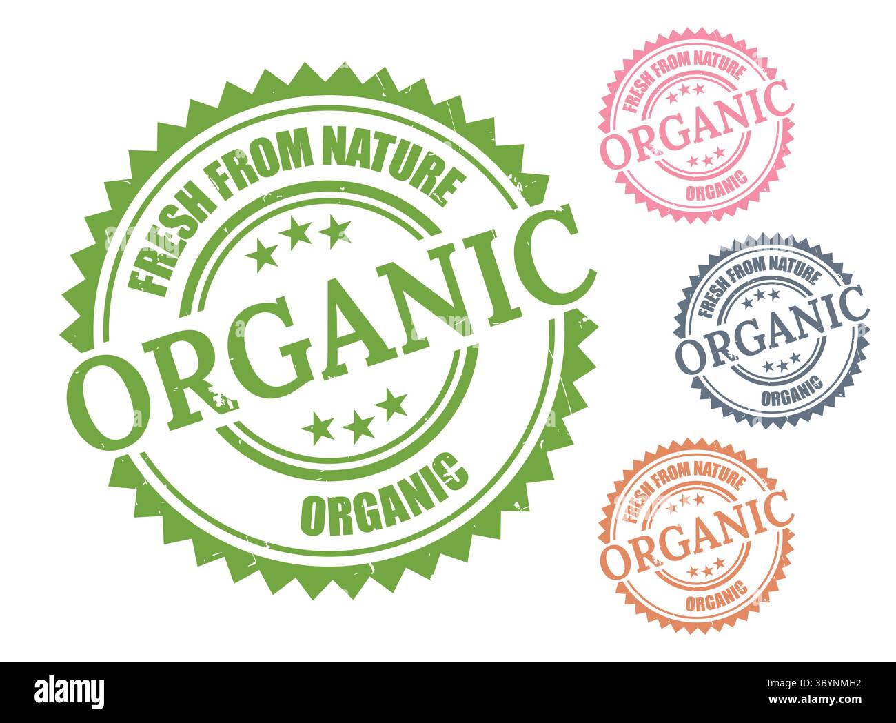 Healthyfood vector vectors hi-res stock photography and images - Alamy