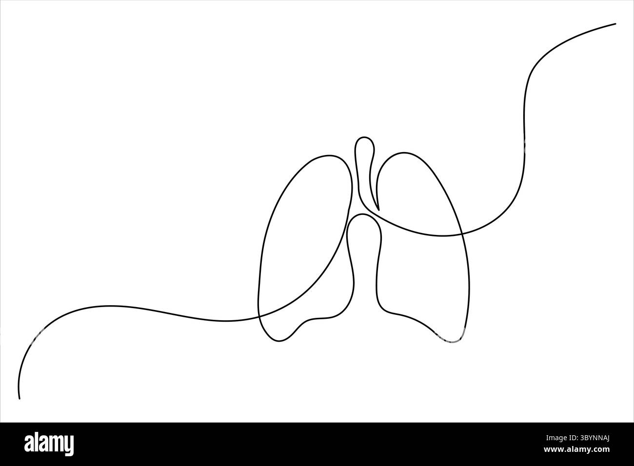 Continuous one line drawing of lungs medical anatomical organ isolated ...