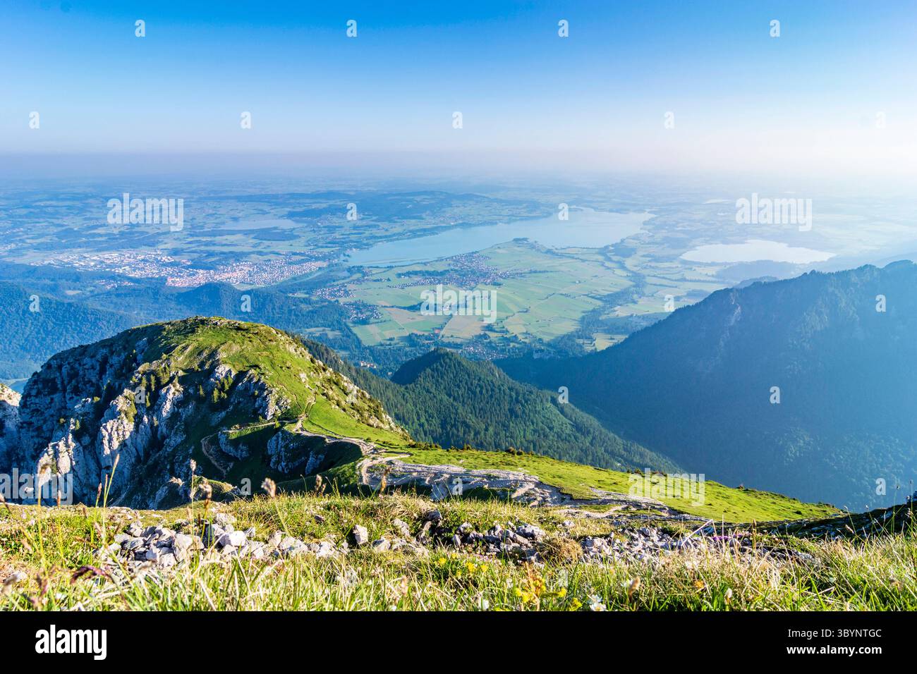 lake Forggensee, Schloss Neuschwanstein Castle Schwangau Schwaben ...